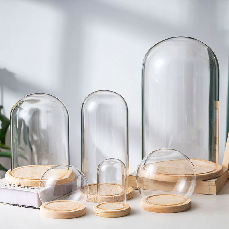 Eternal Flower Glass Cover Crafts Decoration Building Block Model ...