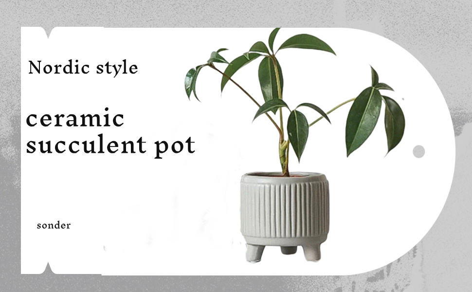 Ready Stock⚫SONDER⚫ Nordic Style Ceramic Flower Pot Succulent Pot ...