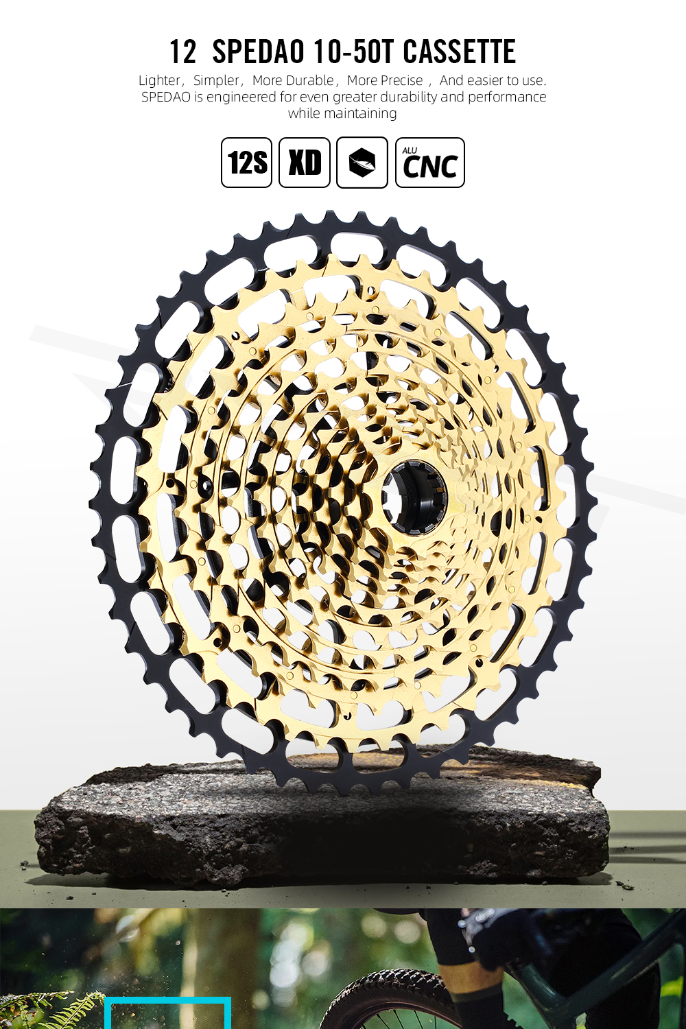 2024 SPEDAO 12s MTB Bicycle Cassette Cogs Freewheel 10-50T 12 speed ...