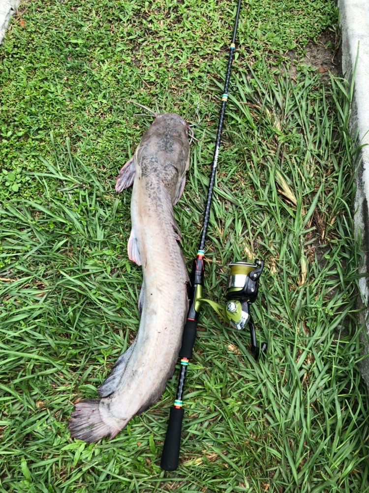 HAIYI FISHING Ultralight fiberglass rod resistance 10 kg 1.65m/1.8m ...
