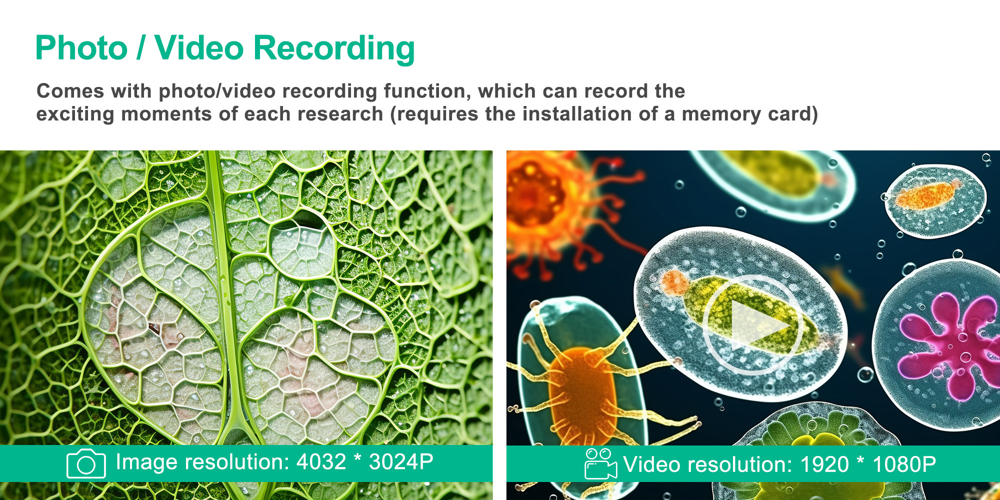 USCAMEL 50x-1200x Digital Microscope 12MP 7inch LDC Display Magnifier ...