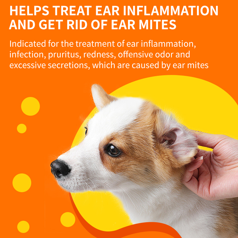 Puainta Ear Drop For Dog And Cat Targeted On Ear Mites Odor Wax ...