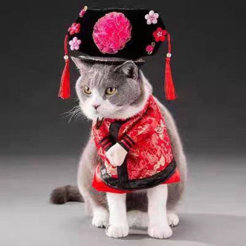 Pets CNY Cloth Dog New Year Clothing Cat Clothes Quirky Cute ...