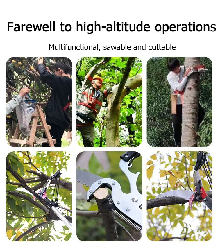 8.5M Telescopic Tree Pruner - High Branch Cutter & Coconut Picker ...