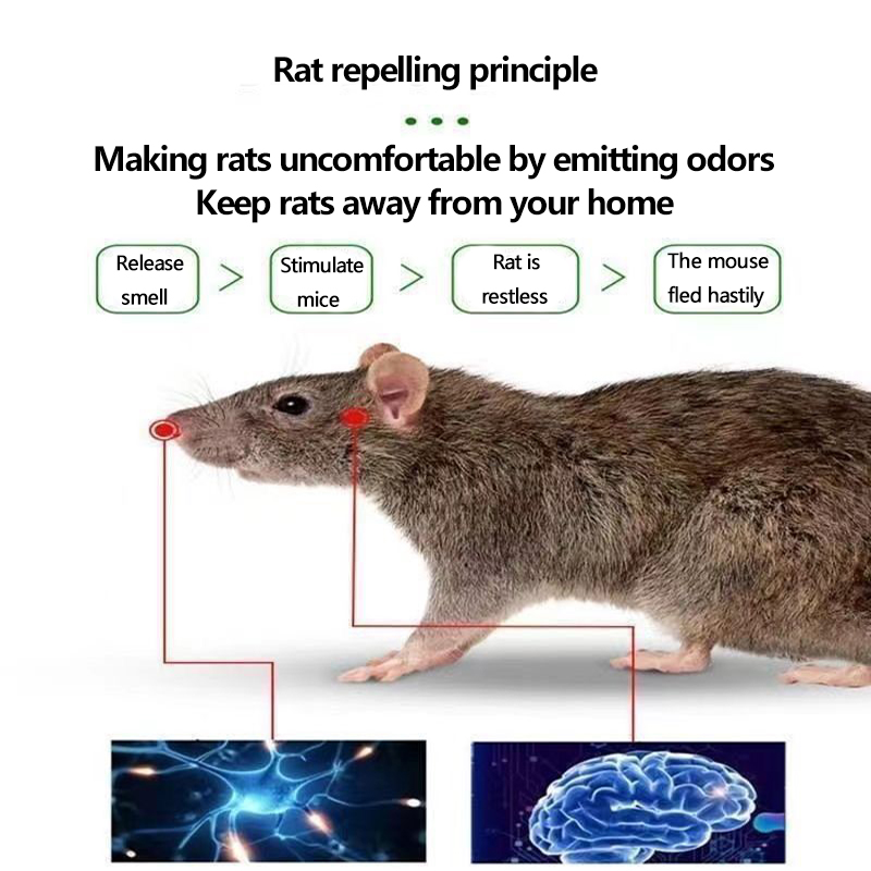 Rat run away when smelling Breeze Rat repellent gel Mouse repellent ...