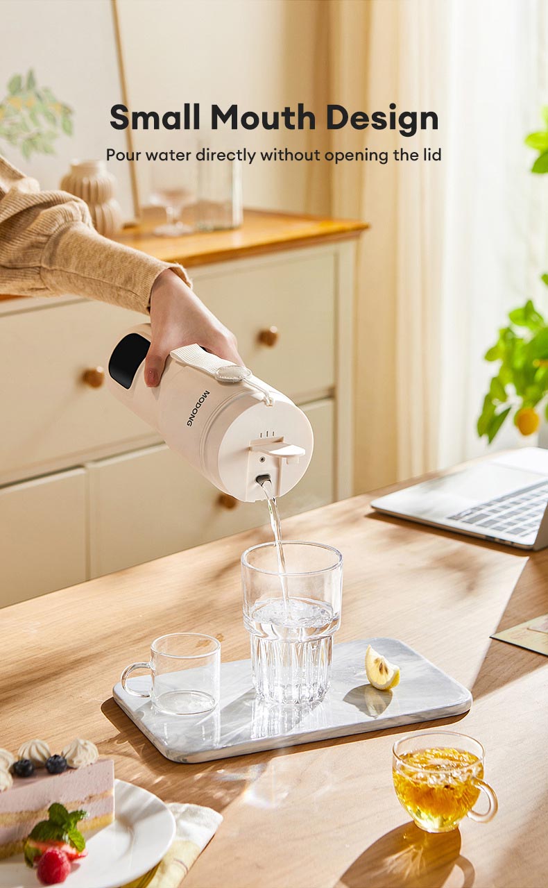 MODONG 600ML Portable Kettle Thermostatic Heating Electric Water Bottle ...