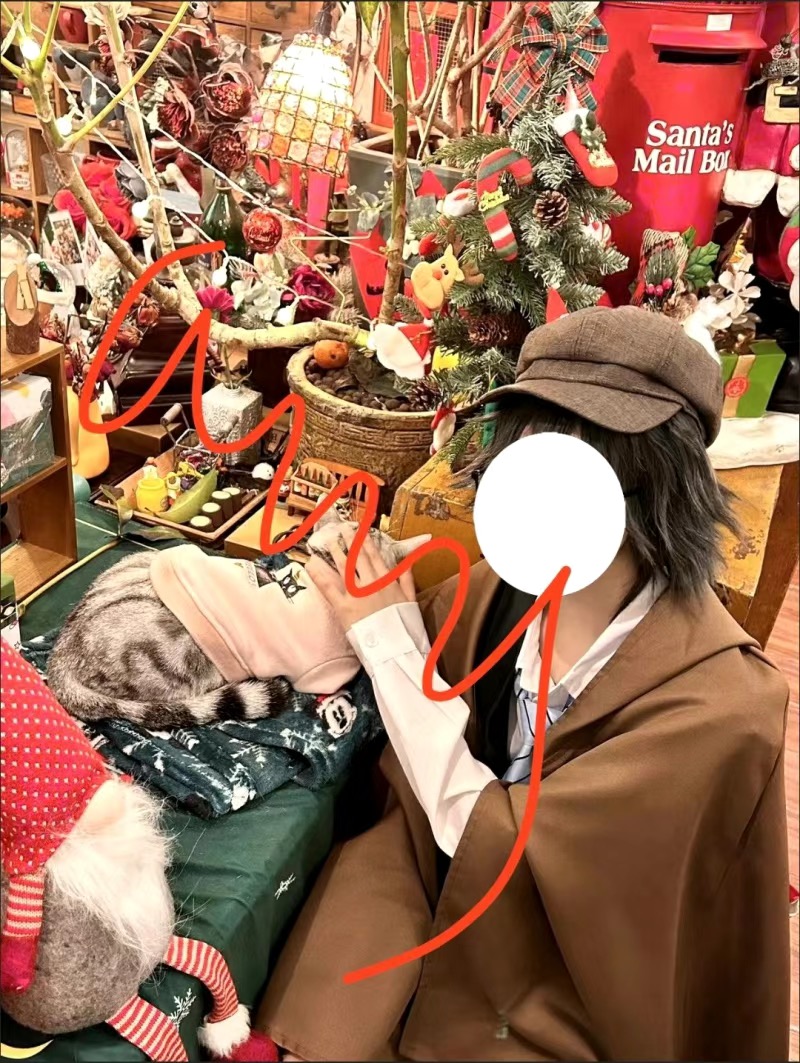Anime bungo stray dogs edogawa ramp cosplay costumes halloween costumes ...