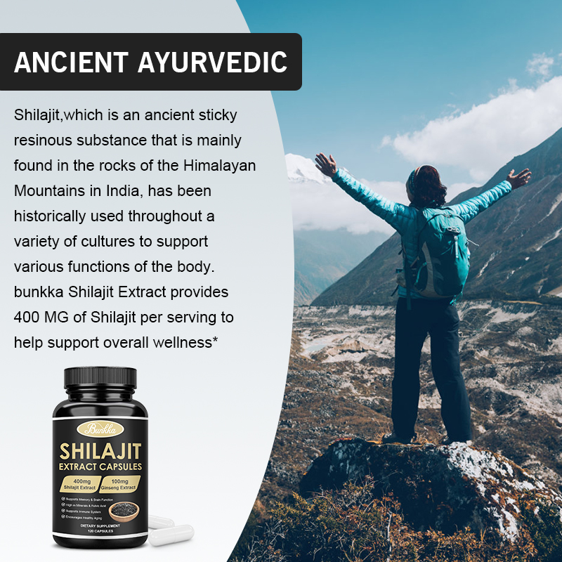 Bunkka Shilajit Extract Capsules Pure Himalayas Extract Supplement for ...