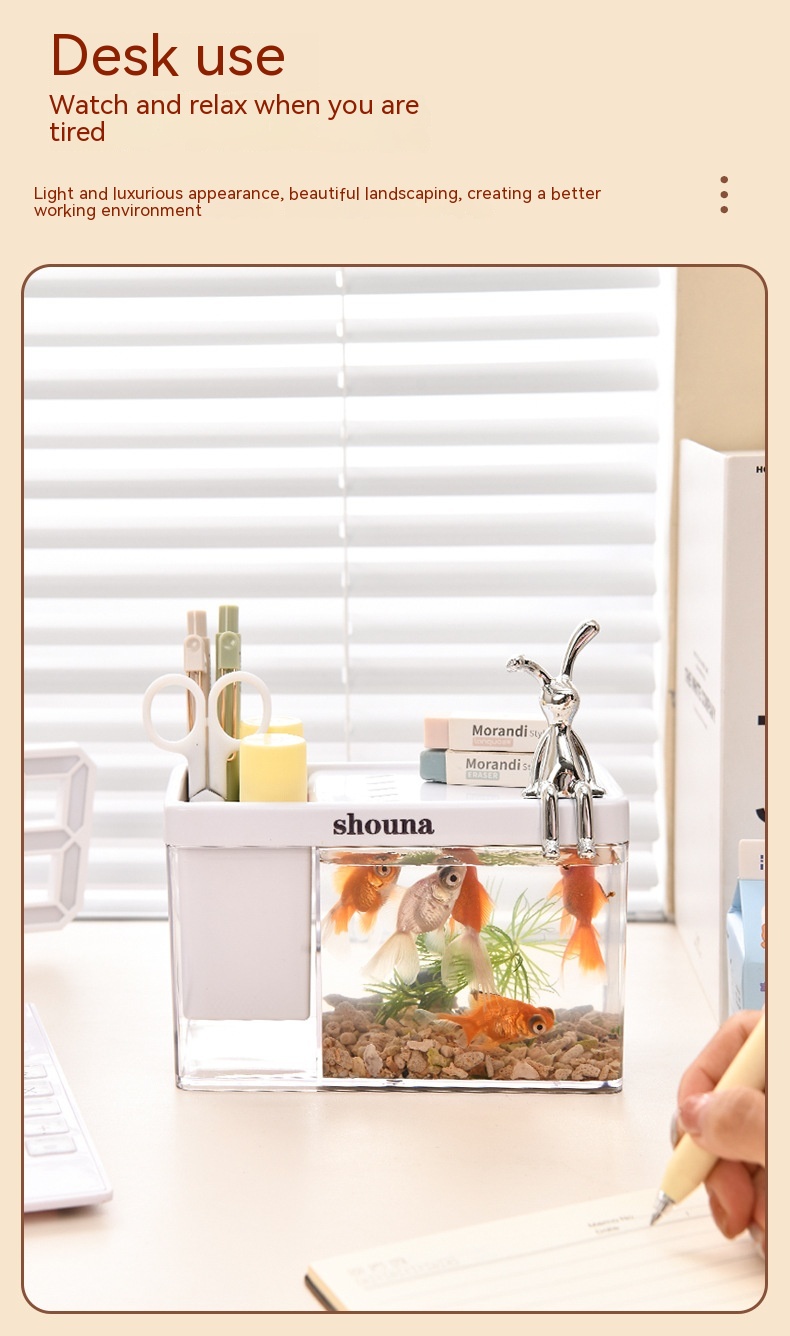 Ecological Fish Tank Micro Landscape Aquarium Landscaping Betta Fish ...