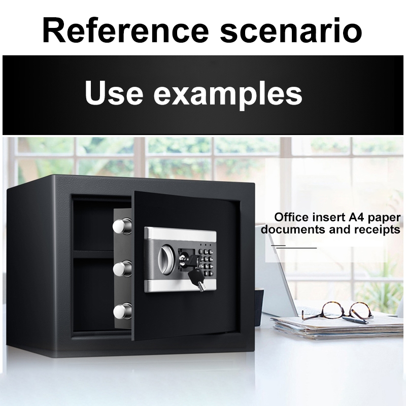 EXPOSE Anti-Theft Home Security Cash Box With Lock (31 x 20 x 20cm ...