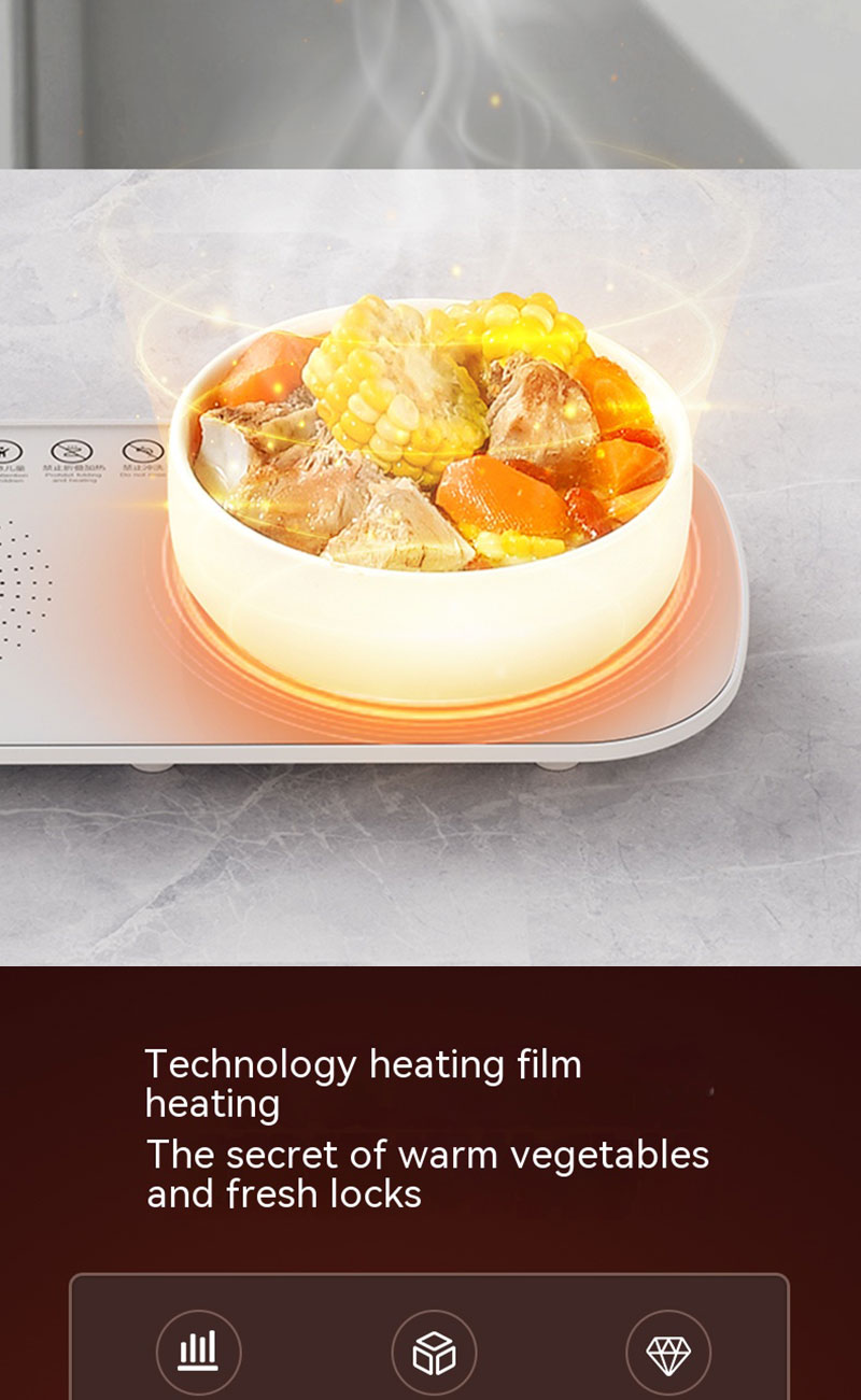 GEESO 10 Seconds Quickly Heating Food Warming Board Multifunctional ...