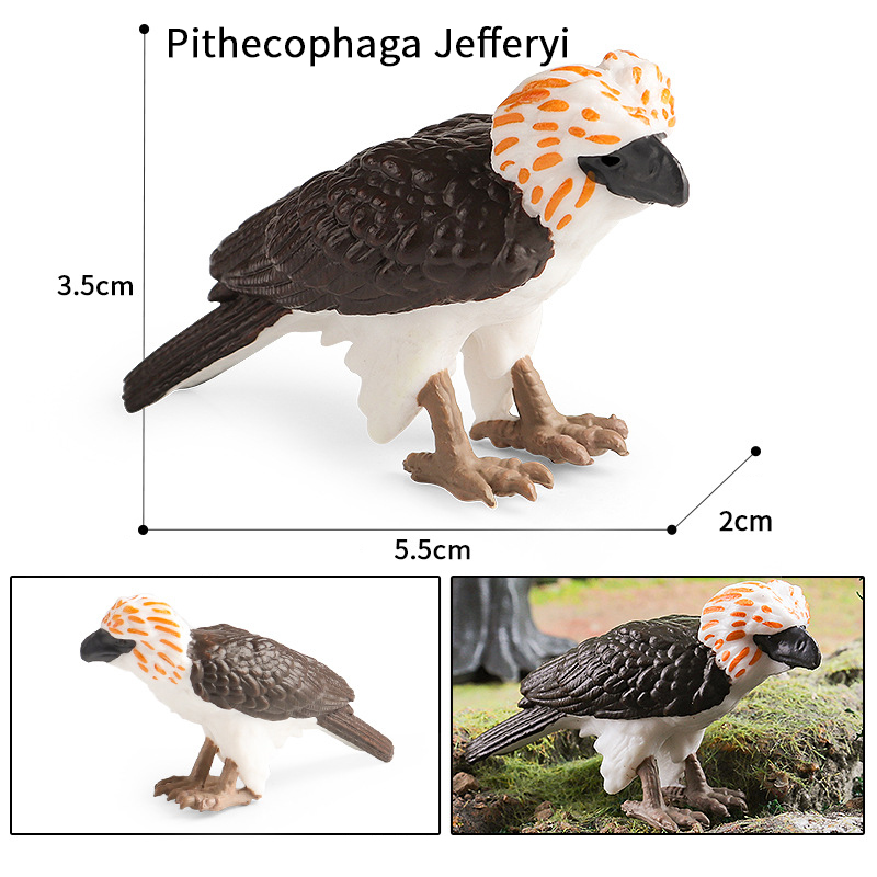 flying bird Pithecophaga Jefferyi Philippine Eagle simulation model ...