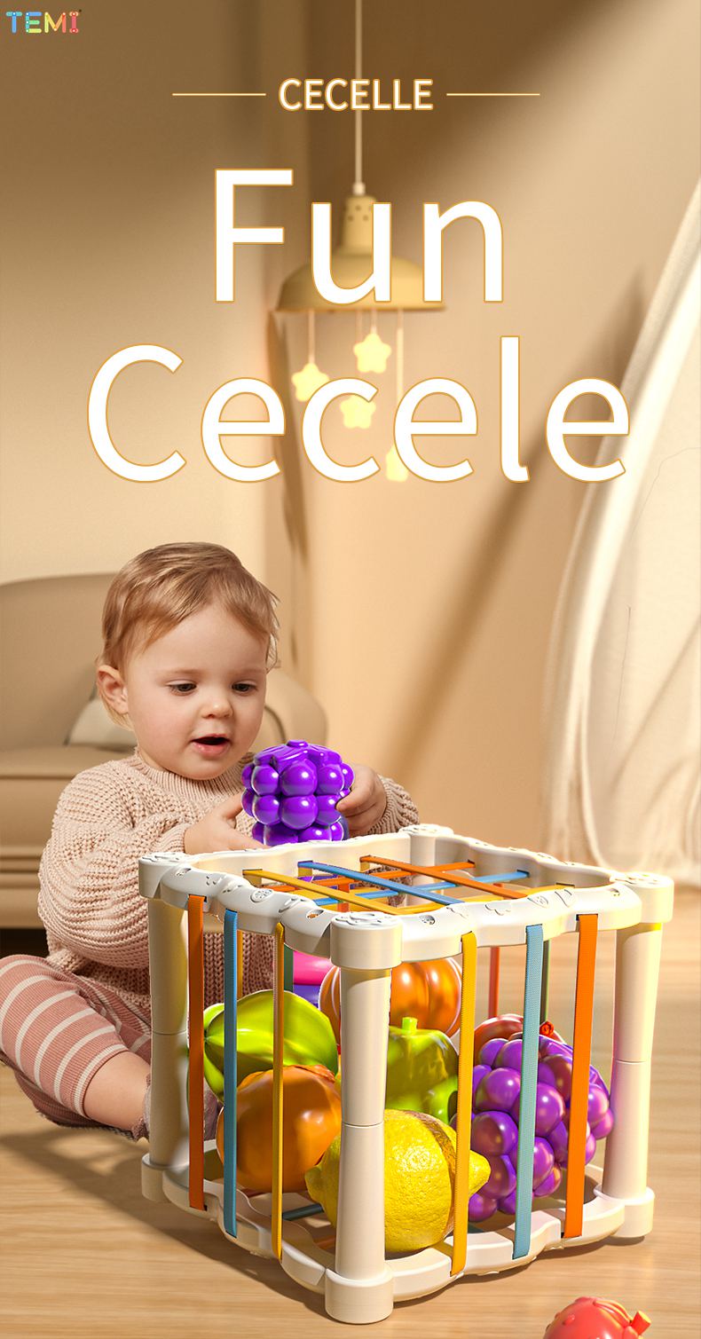 TEMI Baby Sensory Rainbow Cecil Toys Shape Sorting Baby Montessori ...