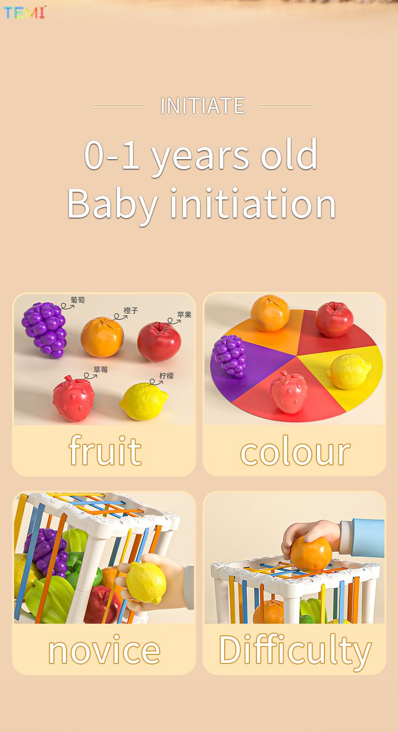 TEMI Baby Sensory Rainbow Cecil Toys Shape Sorting Baby Montessori ...