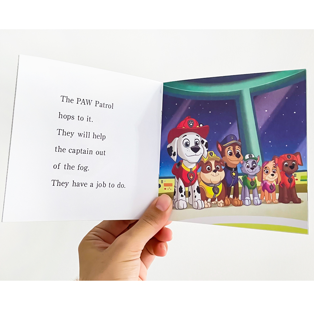 12 Books Paw Patrol Phonics Box Set (Step into Reading) Children ...