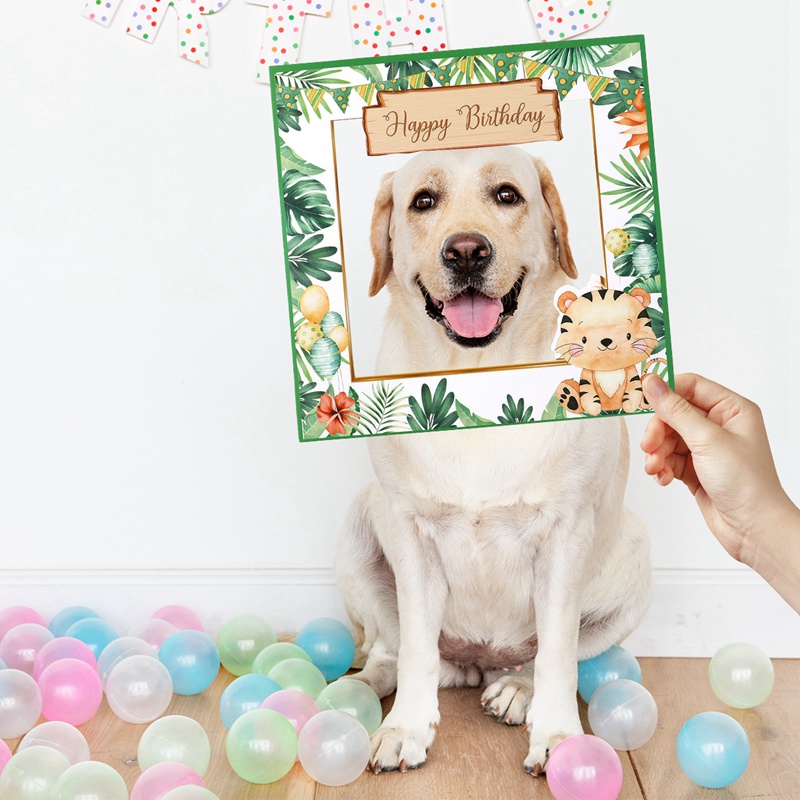 25*25cm Woodland Themed Baby Photo Booth Props Cute Animal Photo Booth ...