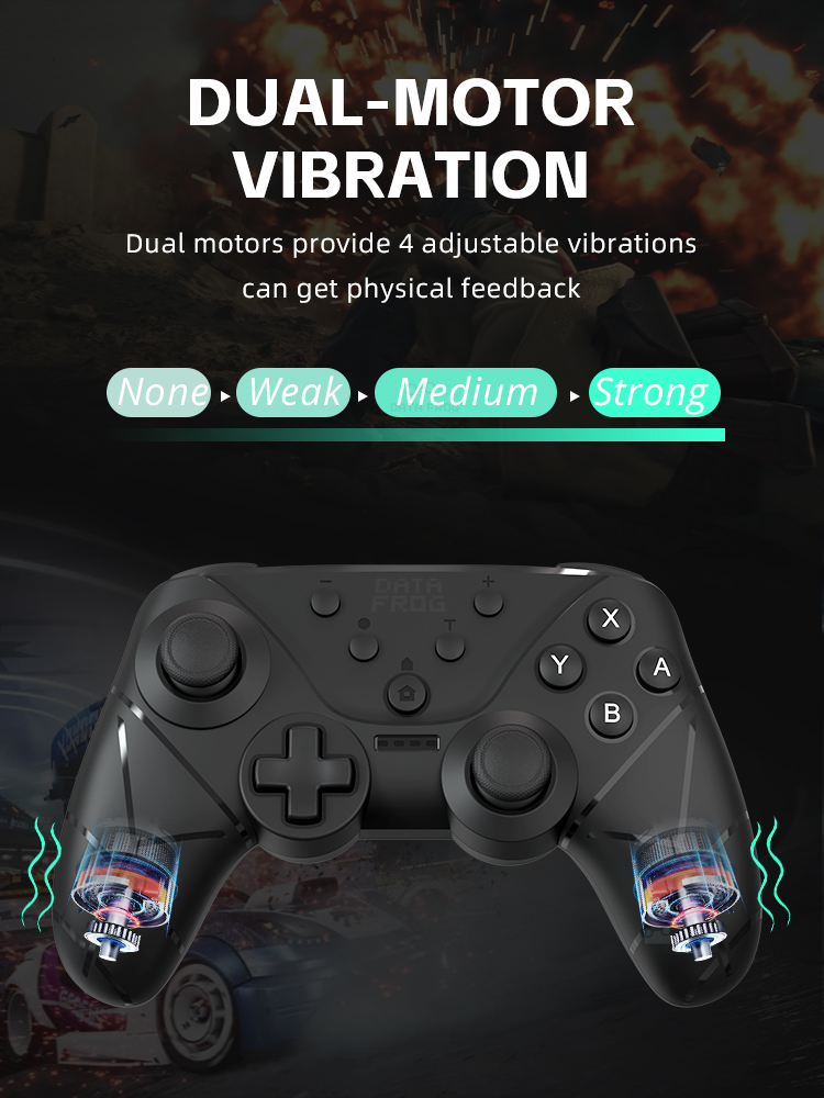 Data Frog Switch Controllers for Nintendo Switch/Lite/OLED Switch Pro ...