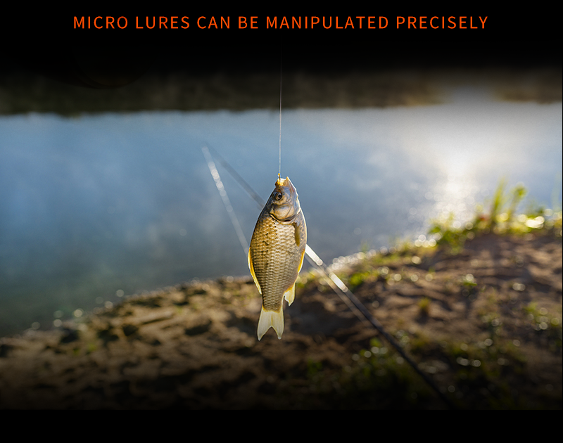 SEASIR Black Arrow Fishing Rod 4.92FT 76G Lure Weight 0.8-10g UL Carbon ...