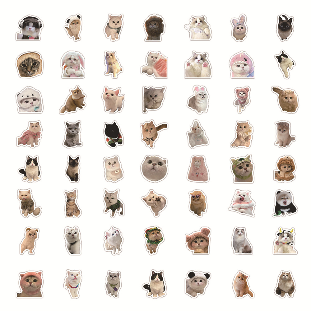 63 Sheets Special-Shaped Dog Cat Stickers Cute Realistic Kitten ins ...