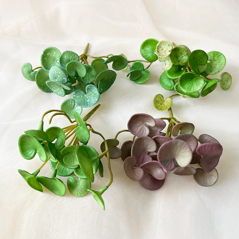 Realistic Succulent Mini Plants with Coin Grass, Sweet Potato Leaves ...