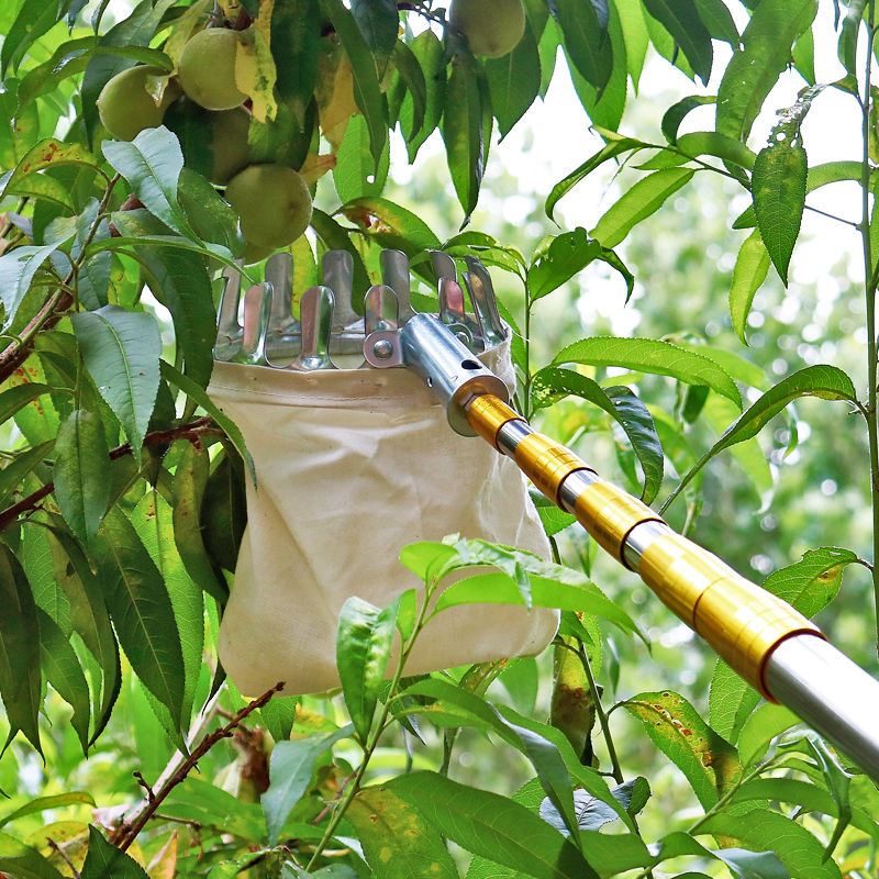 3-6 Meters Telescopic Fruit Picker with Long Pole Gardening Tools High ...