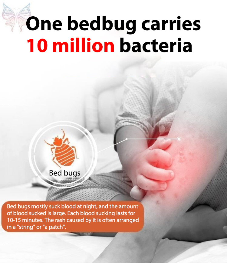 Harmless to human petsCC Bed bug killer Bug bed spray Bed bug spray ...