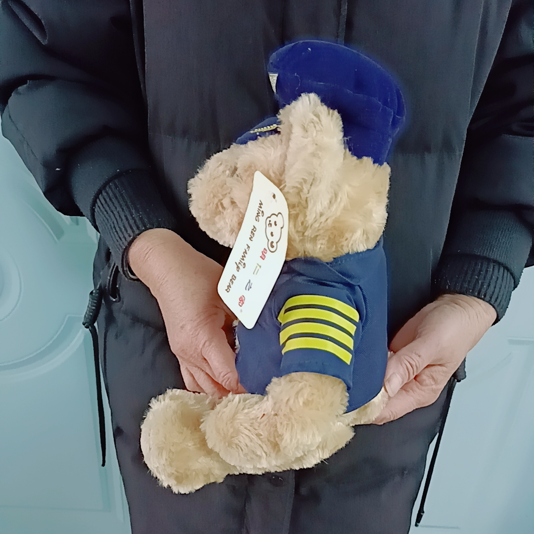 25cm Pilot Teddy Bear Plush Toy Captain Bear Flight Attendant Doll ...