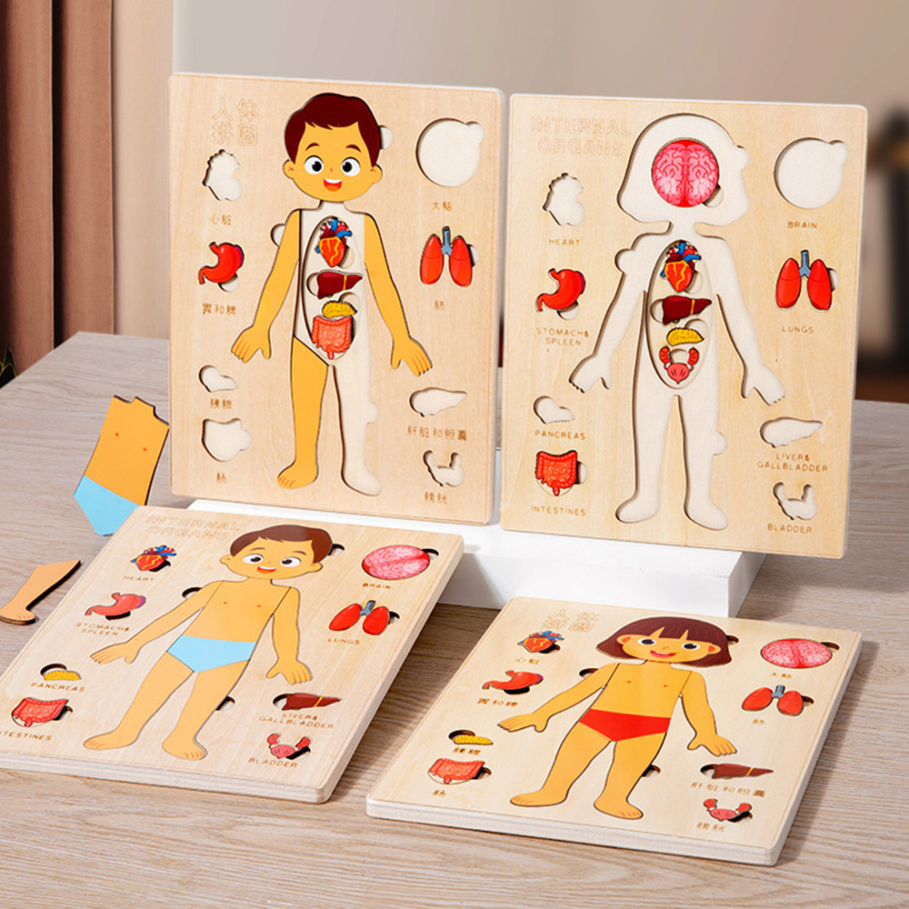 Montessori Wooden Jigsaw Puzzles Anatomy Game Human Body Puzzles ...