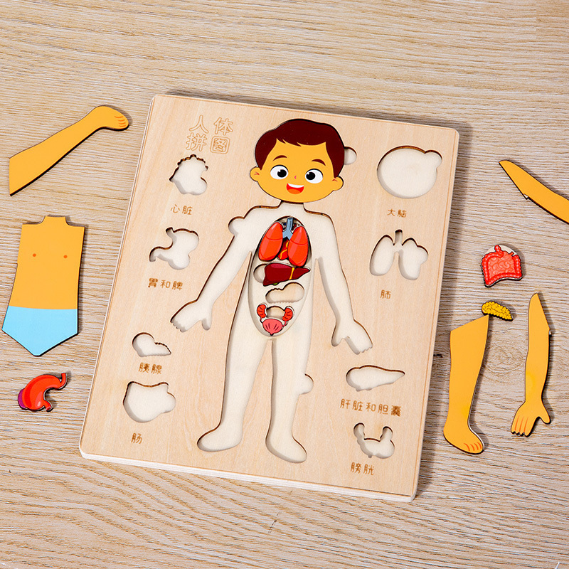 Montessori Wooden Jigsaw Puzzles Anatomy Game Human Body Puzzles ...