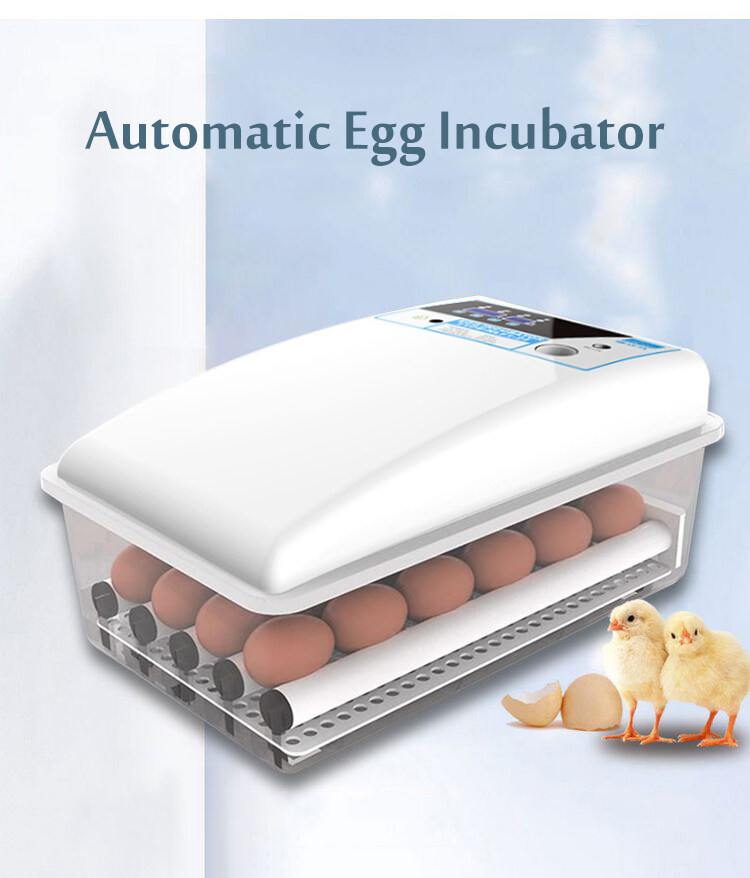 Incubator Egg Automatic Egg Machine Small Chicken Incubator Mesin Telur ...