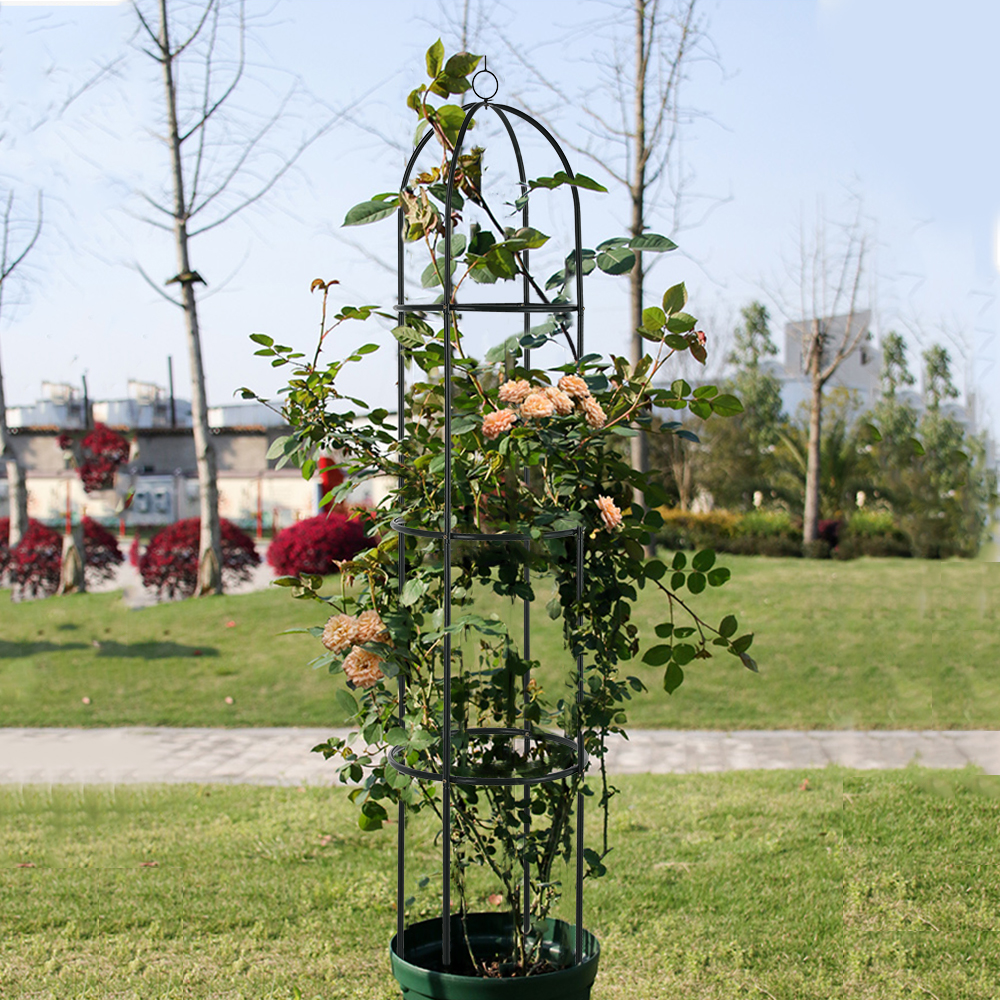 Plant Support Climbing Frame Climbing Vine Rose Trellis Support Pile ...