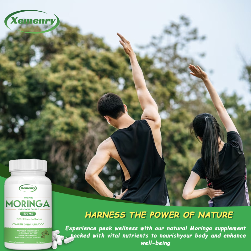 Moringa Oleifera Capsules 500 mg Green Superfood Provide Phytonutrients Antioxidants Increase ...