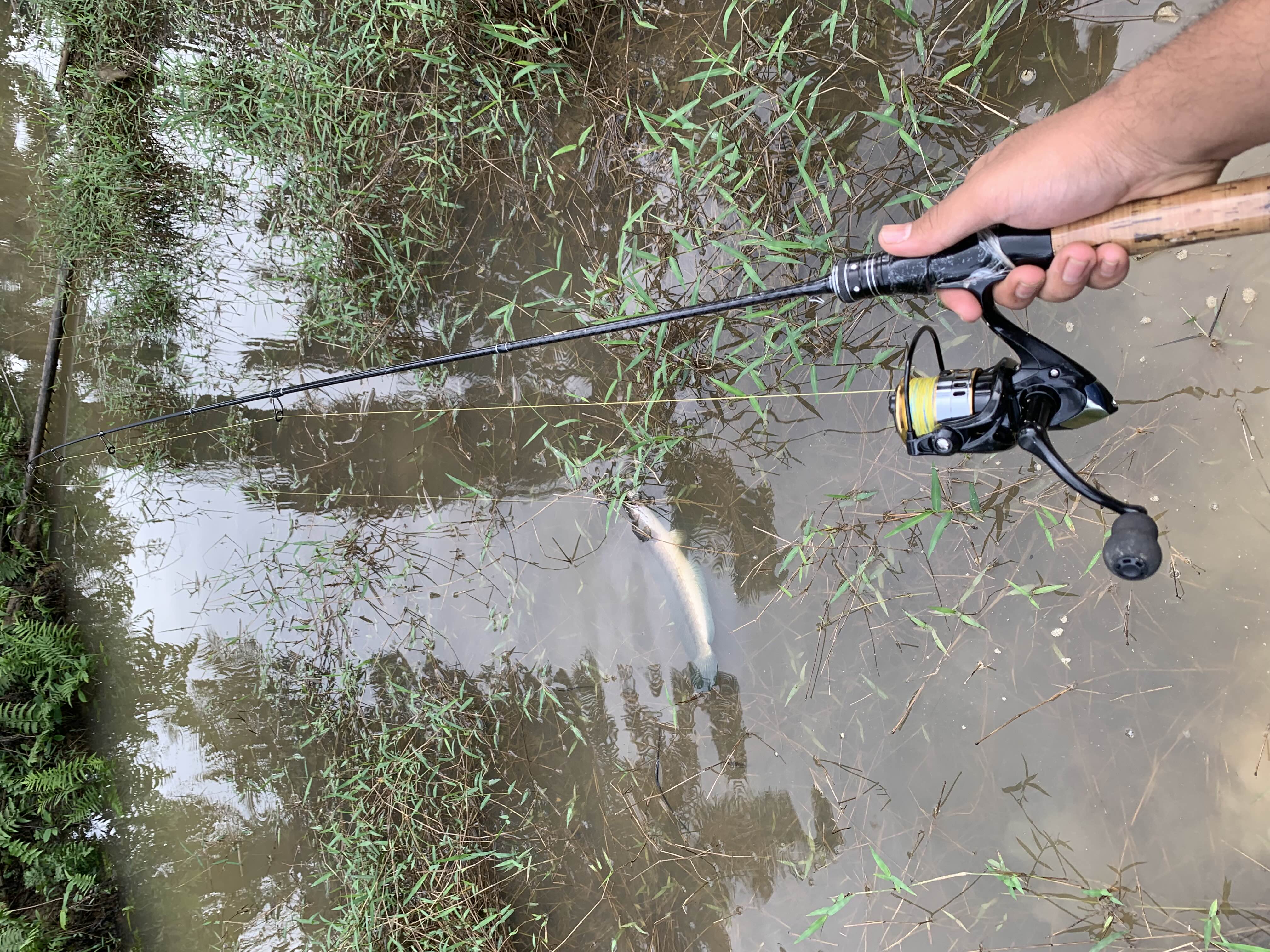 HAIYI FISHING Spining Baitcasting Carbon Fiber Fishing Rod Max Drag 8kg ...