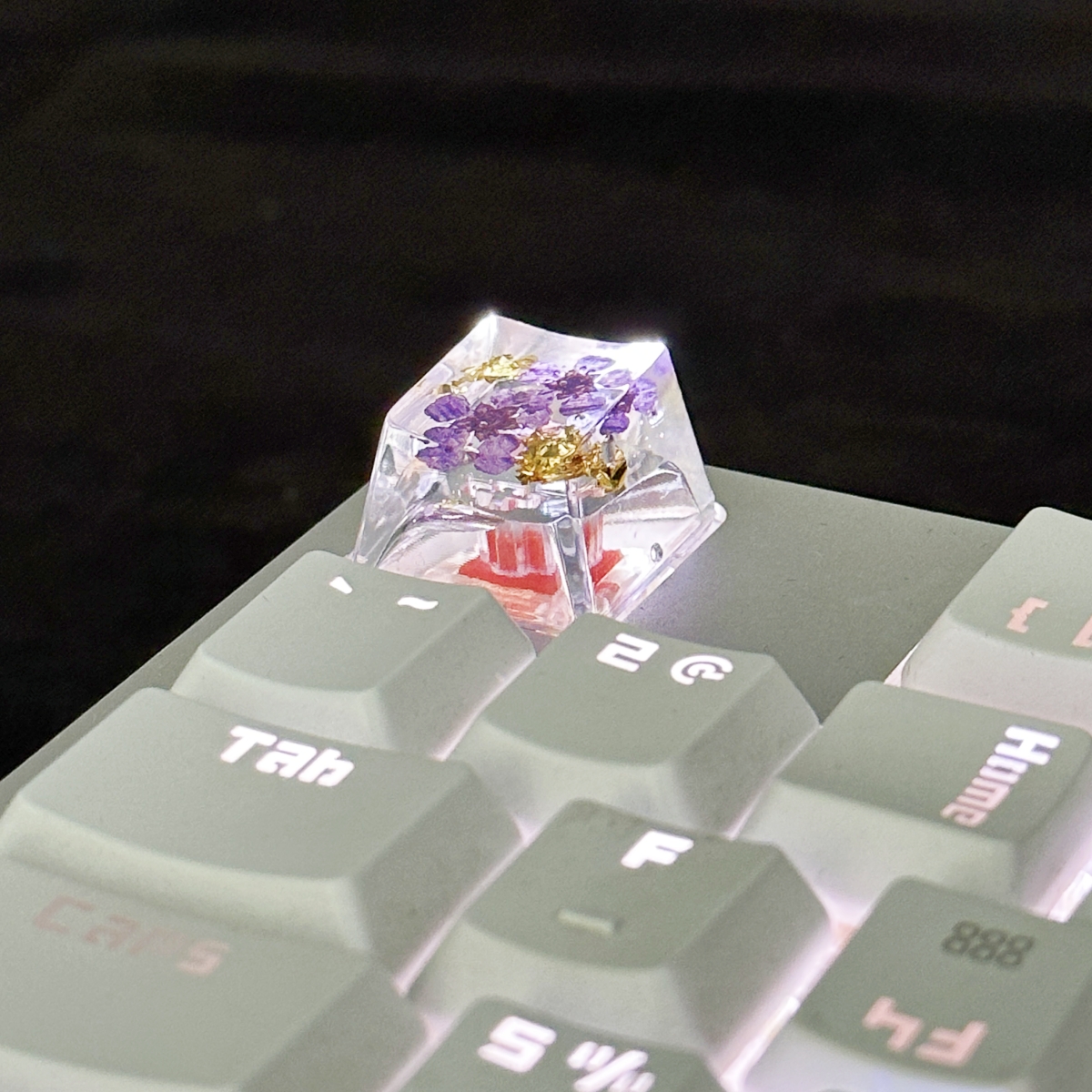 1 Piece Transparent Flower Keyboard Keycap Real Dried Flower Plum ...