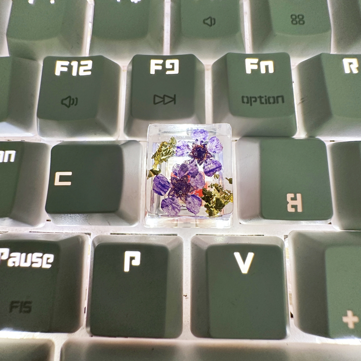 1 Piece Transparent Flower Keyboard Keycap Real Dried Flower Plum ...