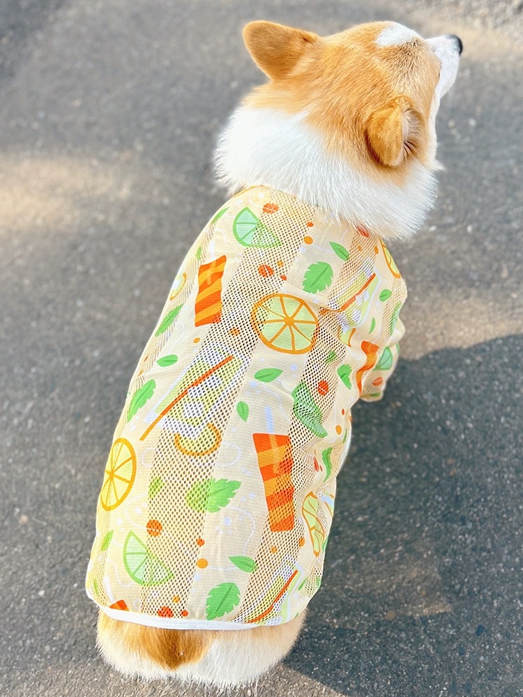 [S-9XL] Big Dog Puppy Clothes Fashion Pet Cat Sport Clothes Golden ...