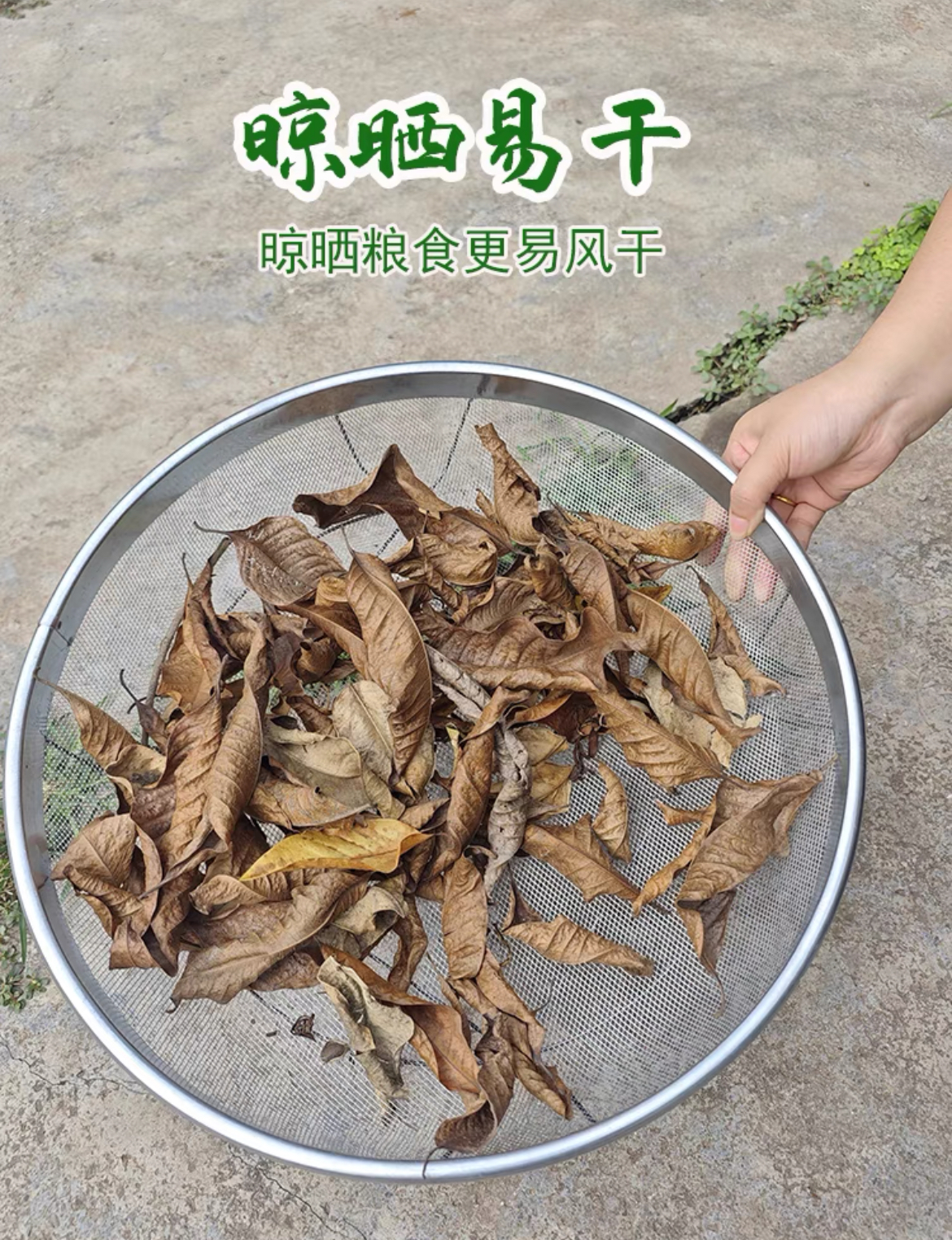 ⚛️Galvanized⚛️Sieve Gardening Sieve Large Sieve Sand Stone Filter Sieve ...