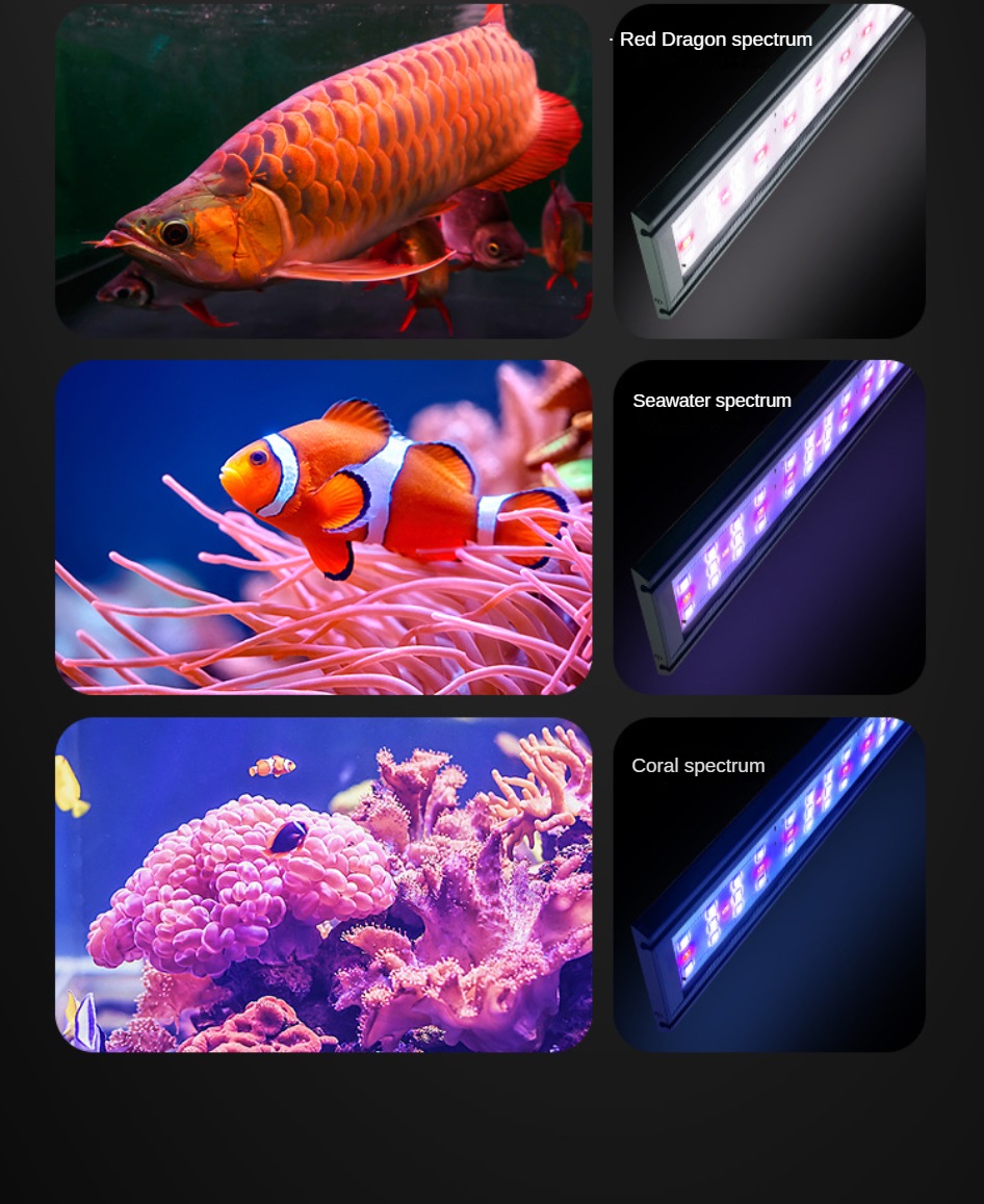 App Dimming Timing Wrgb Aquatic Lamp Aquarium Light Fish Tank Light ...