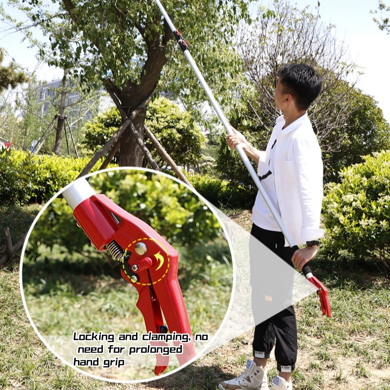Fruit Picker With Pole Tree Branch Cutter Fruit-picking Scissors Height ...