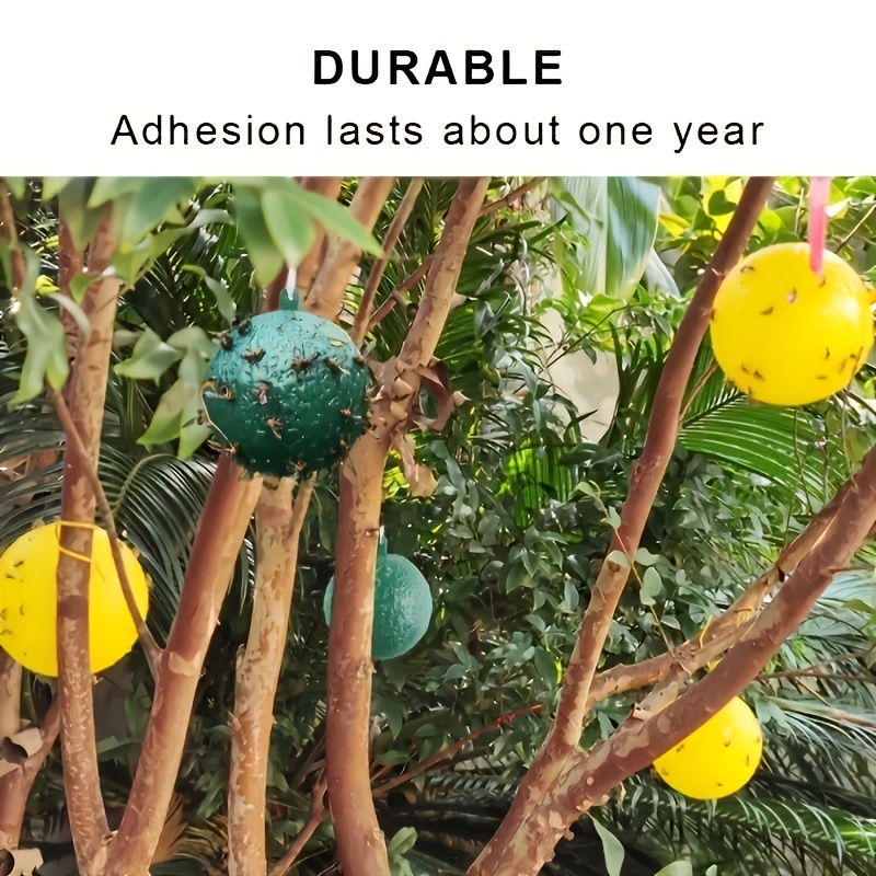 Insect control ball, vegetable garden, orchard, fly trap, sticky insect ...
