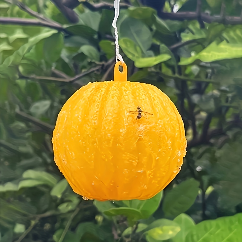 Insect control ball, vegetable garden, orchard, fly trap, sticky insect ...