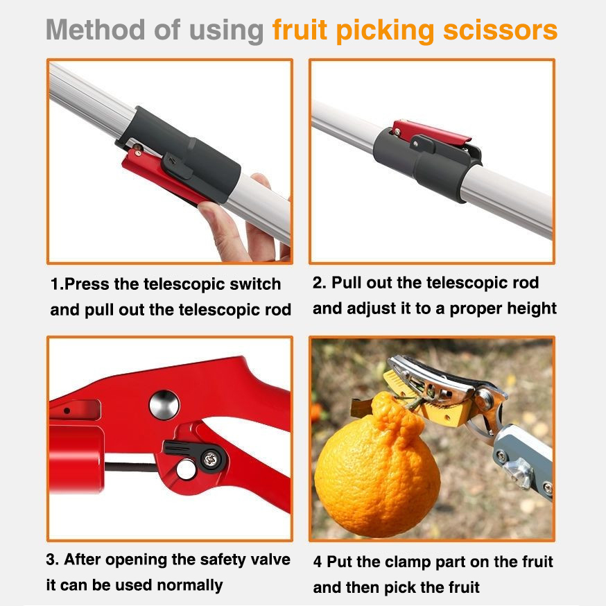 Fruit Picker 1.8-3 Meters Extendable High-altitude Fruit Scissors ...
