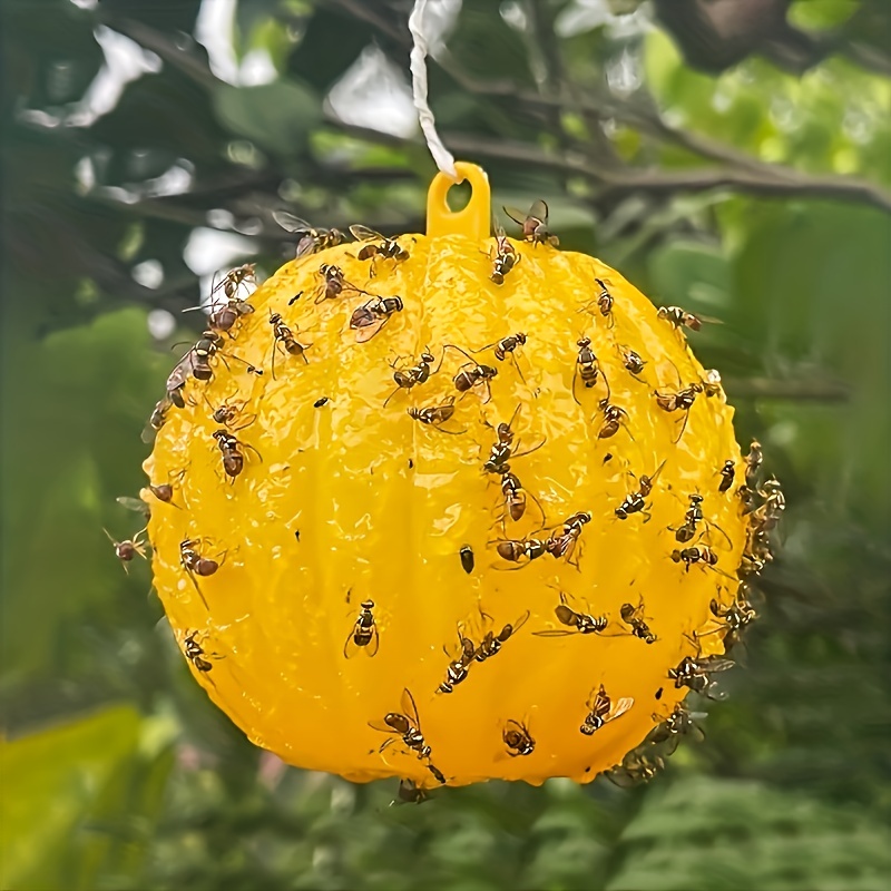 Fly trapping ball greenhouse melon and fruit orchard needle tip sticky ...