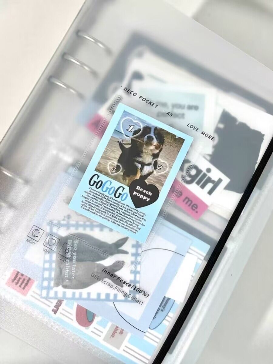 Ohaya | Frosted Love Polaroid Photo Album A5 Loose-leaf 10cm Photos Cuckoo Card Photo Card ...