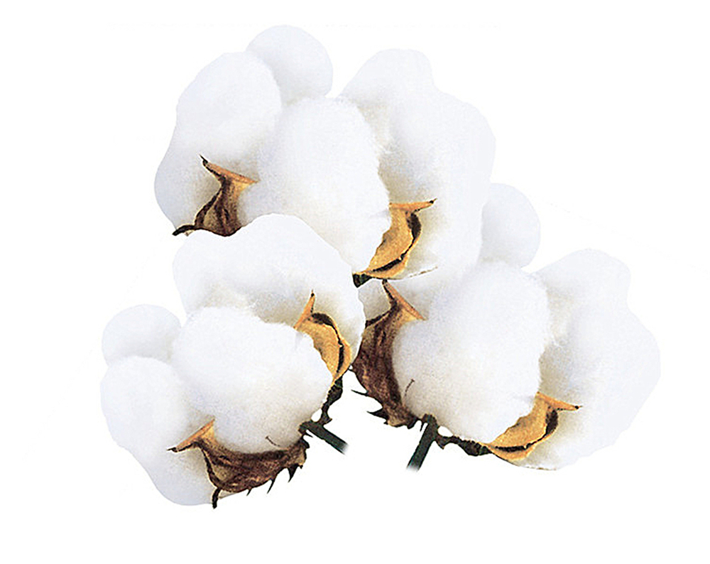 PP Healthy cotton Core 30×50.40×60.40×40.45×45.50×50.60×60.Home hotel ...