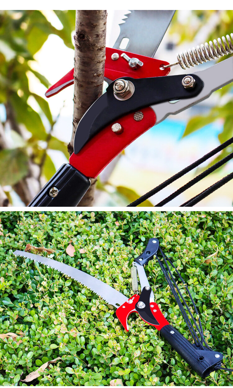 Scalable high-altitude pruning scissors Horticultural tools Pruning ...