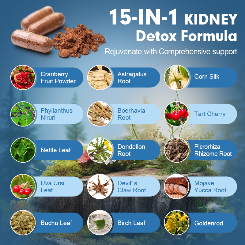 Alliwise Kidney Cleanse Detox & Repair Kidney Cleanse Supplement with ...