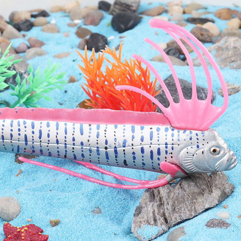Marine Organisms Oarfish Sea Serpent Earthquake Fish Scientific Model ...