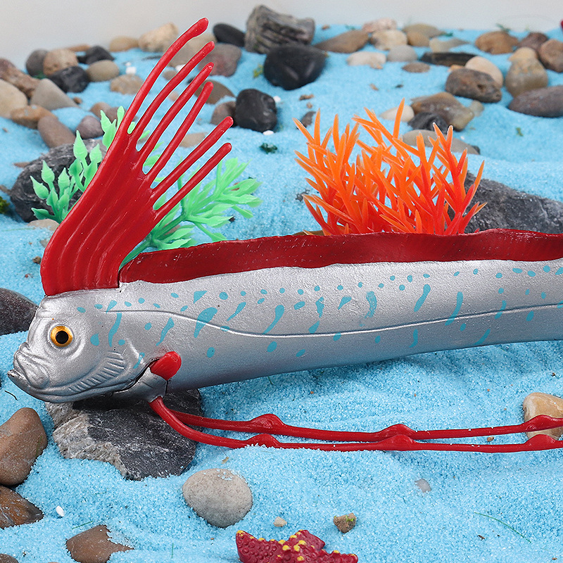 Marine Organisms Oarfish Sea Serpent Earthquake Fish Scientific Model ...