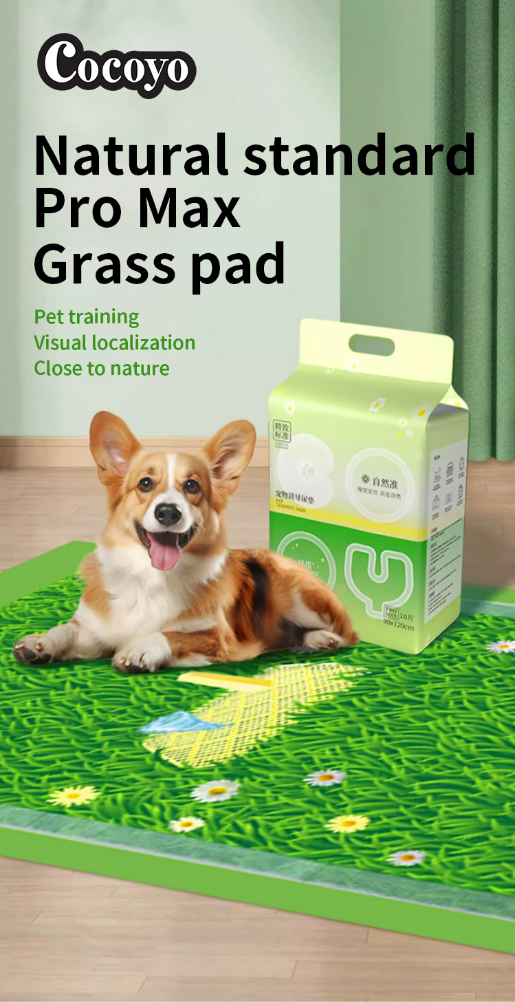 Pet Puppy Training Mat Wee Wee Pad Urine Pat for Cat Dog Printed Pet ...